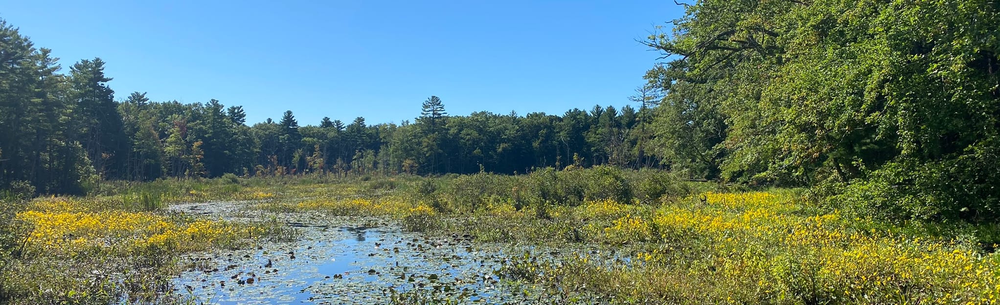 Broadmoor Wildlife Sanctuary Trails, Massachusetts - 528 Reviews, Map ...