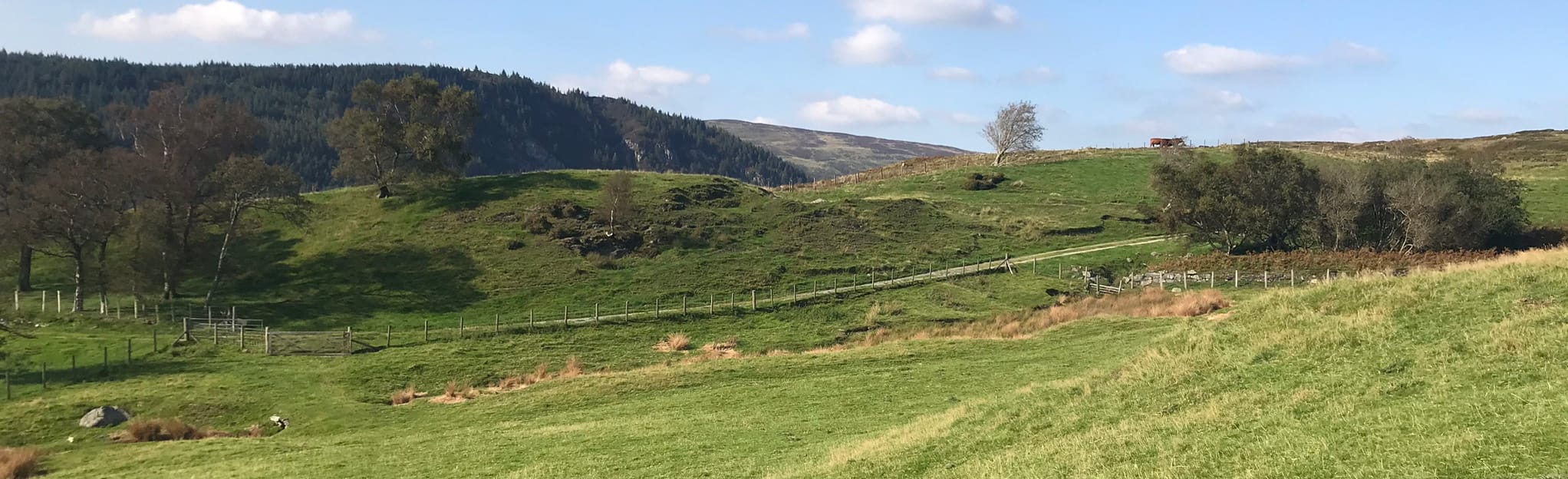 Llyn Sarnau and Llyn Glangors Circular, Conwy, Wales - 7 Reviews, Map ...