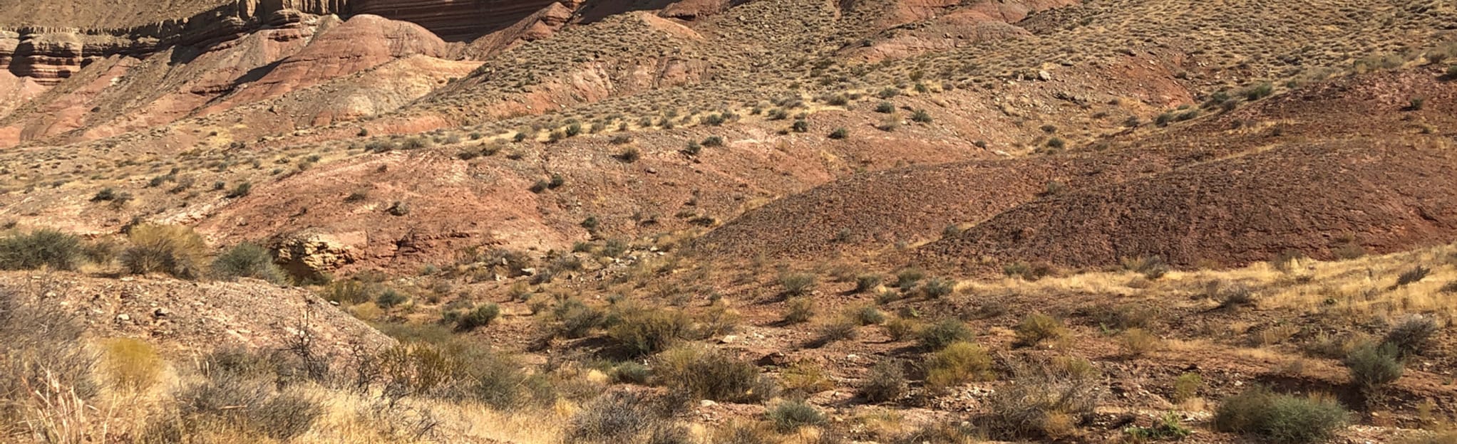 Sun River Bonnie Loop: 30 Reviews, Map - Utah | AllTrails