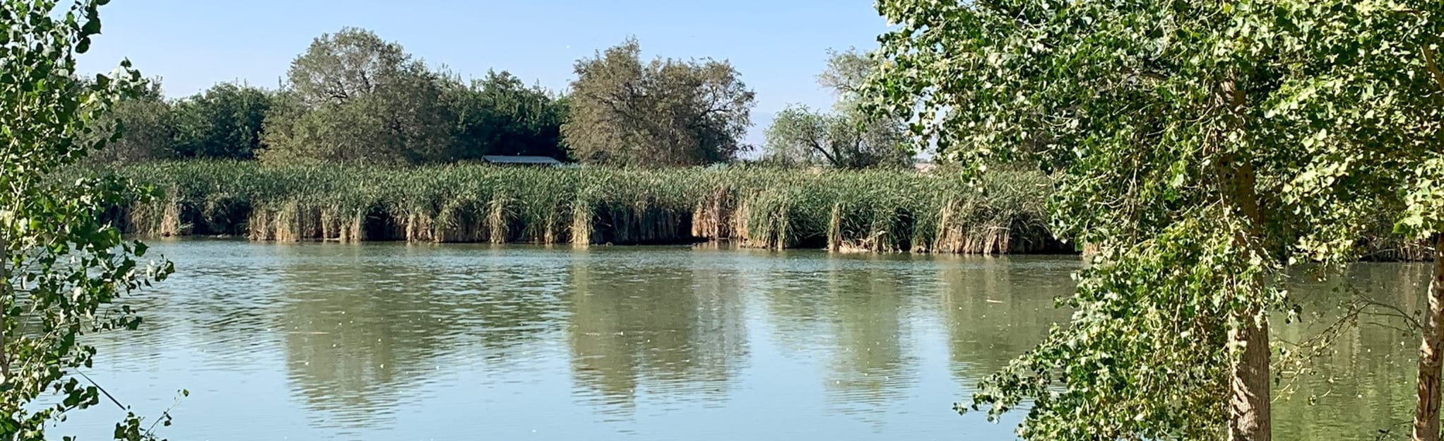 Floyd Lamb Tule Springs Park Trail, Nevada - 351 Reviews, Map | AllTrails