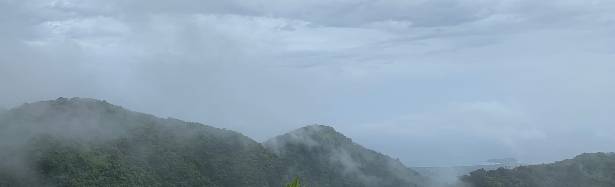 Mount Saint Catherine, Saint Andrew, Grenada - 17 Reviews, Map | AllTrails