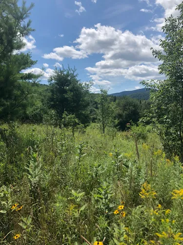 10 Best Trails and Hikes in Warren | AllTrails