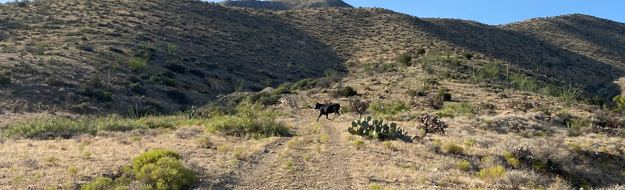 Little Hatchet Loop, New Mexico - 6 Reviews, Map | AllTrails