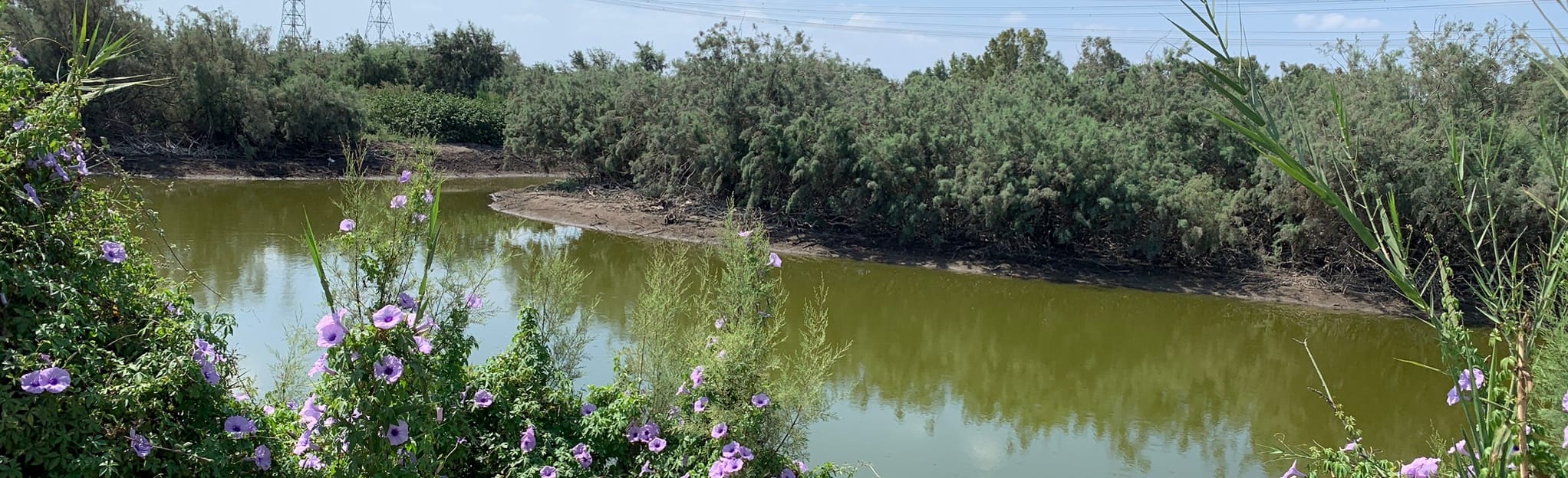 Hadera Stream to Talmei Elazar, Haifa, Israel - Map, Guide | AllTrails