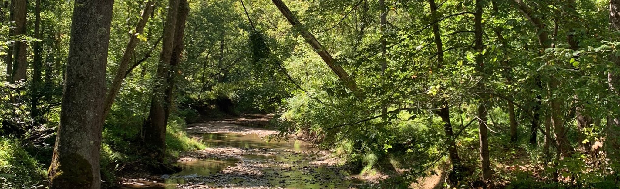 Middle Creek Park Loop: 416 fotos - Kentucky | AllTrails