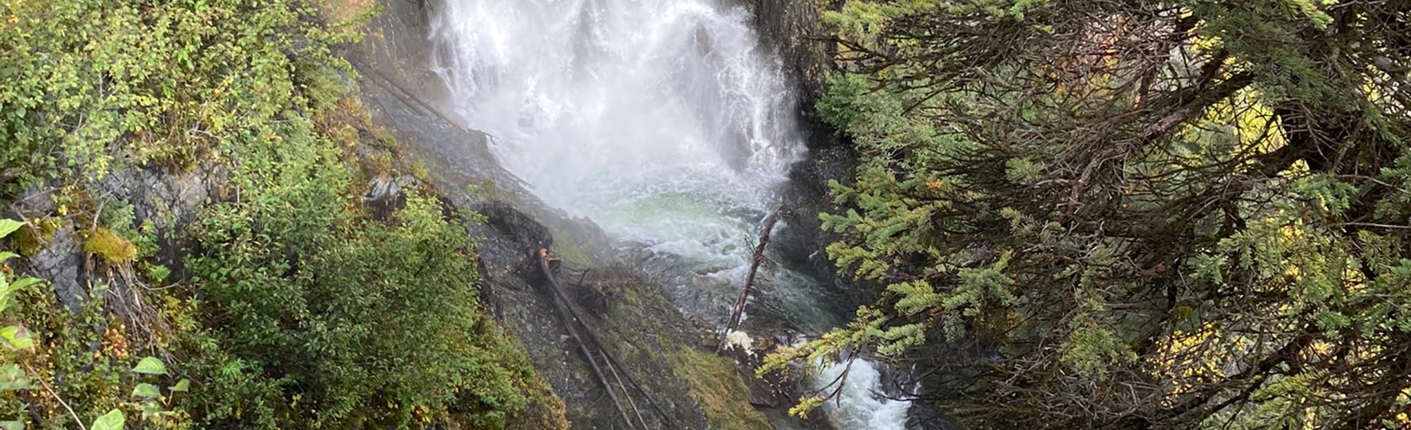 AllTrails | Resurrection Pass Trail: 200 Reviews, Map - Alaska