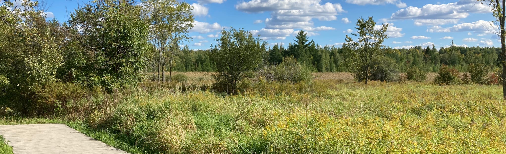 Mer Bleue Loop 53, Ontario, Canada - 225 Reviews, Map | AllTrails