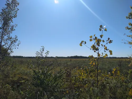 Best Hikes and Trails in Midewin National Tallgrass Prairie | AllTrails