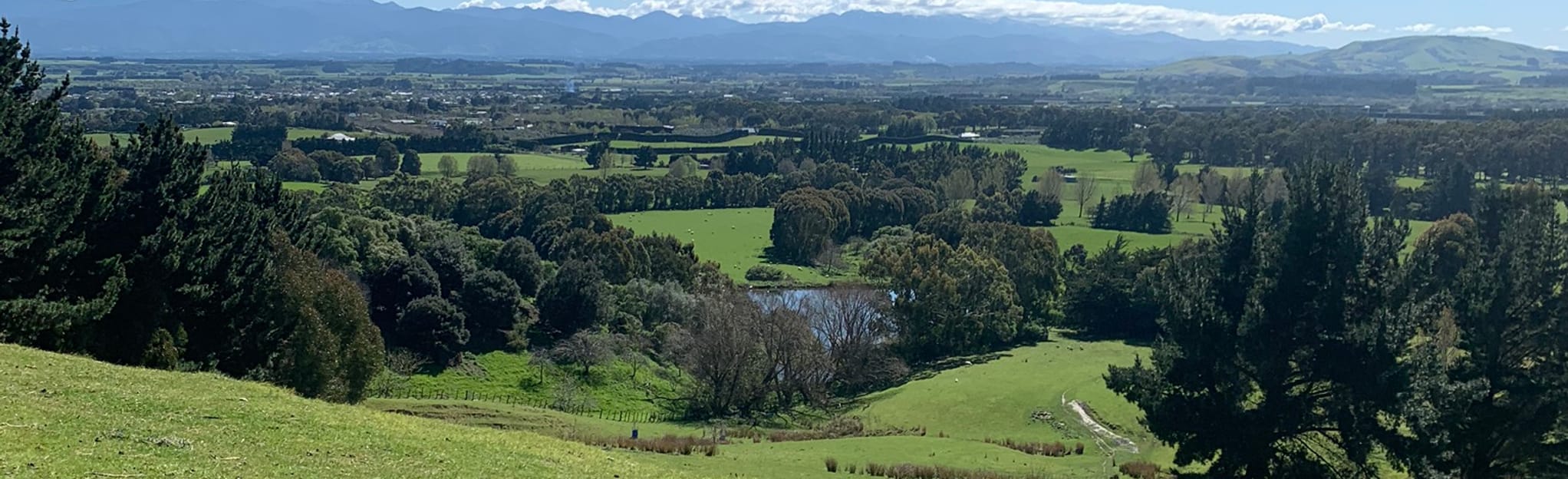 Rapaki Walk, Wellington, New Zealand - 39 Reviews, Map | AllTrails