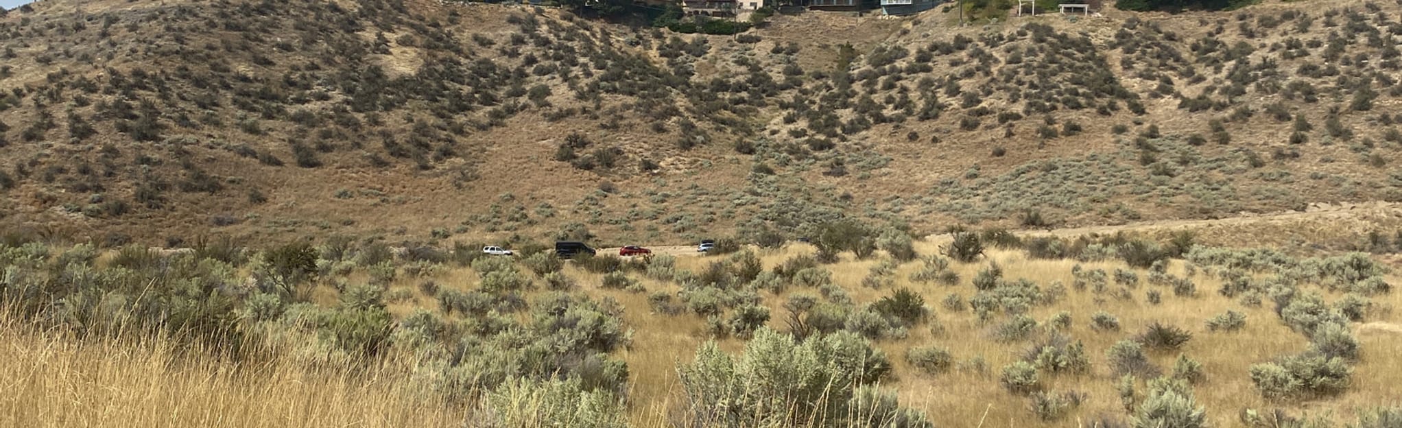 Hulls Gulch Sidewinder Loop: 295 Reviews, Map - Idaho | AllTrails