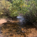 Rich Creek Trail, Colorado - 228 Reviews, Map | AllTrails