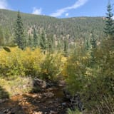Rich Creek Trail, Colorado - 228 Reviews, Map | AllTrails
