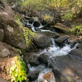 Rich Creek Trail, Colorado - 228 Reviews, Map | AllTrails