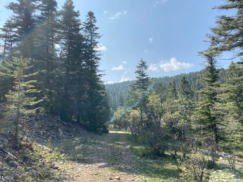 Best Hikes and Trails in Timberon | AllTrails