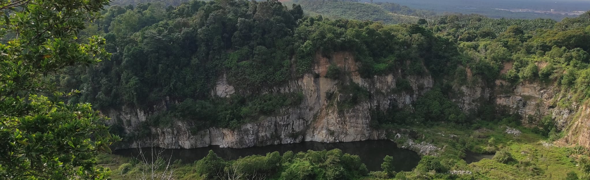 Bukit Mor Track B, Johor, Malaysia - 148 Reviews, Map | AllTrails