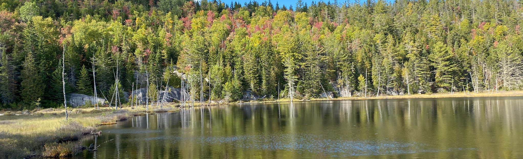 Rainbow Loop Trail, Maine - 55 Reviews, Map | AllTrails