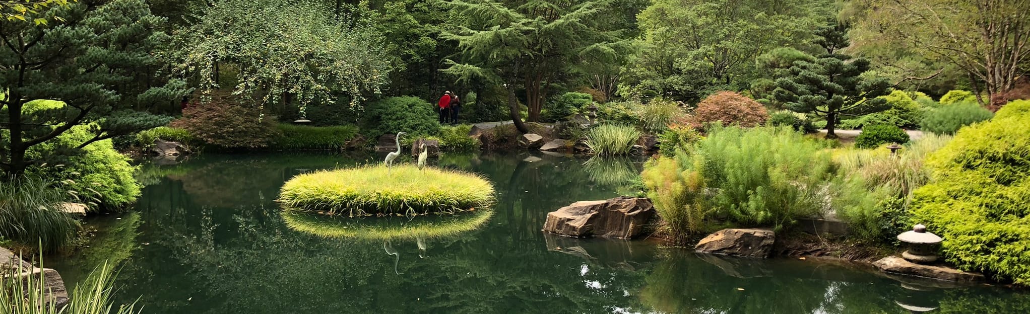 Gibbs Garden Fern Dell Route: 209 Reviews, Map - Georgia | AllTrails