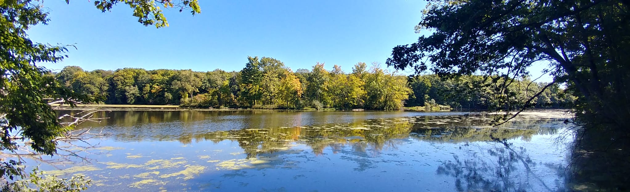 Anderson Park Green and Red Trails: 326 Reviews, Map - Michigan | AllTrails