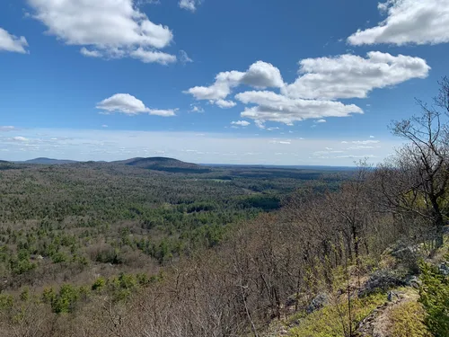 Best Forest Trails in Temple Mountain State Reservation | AllTrails