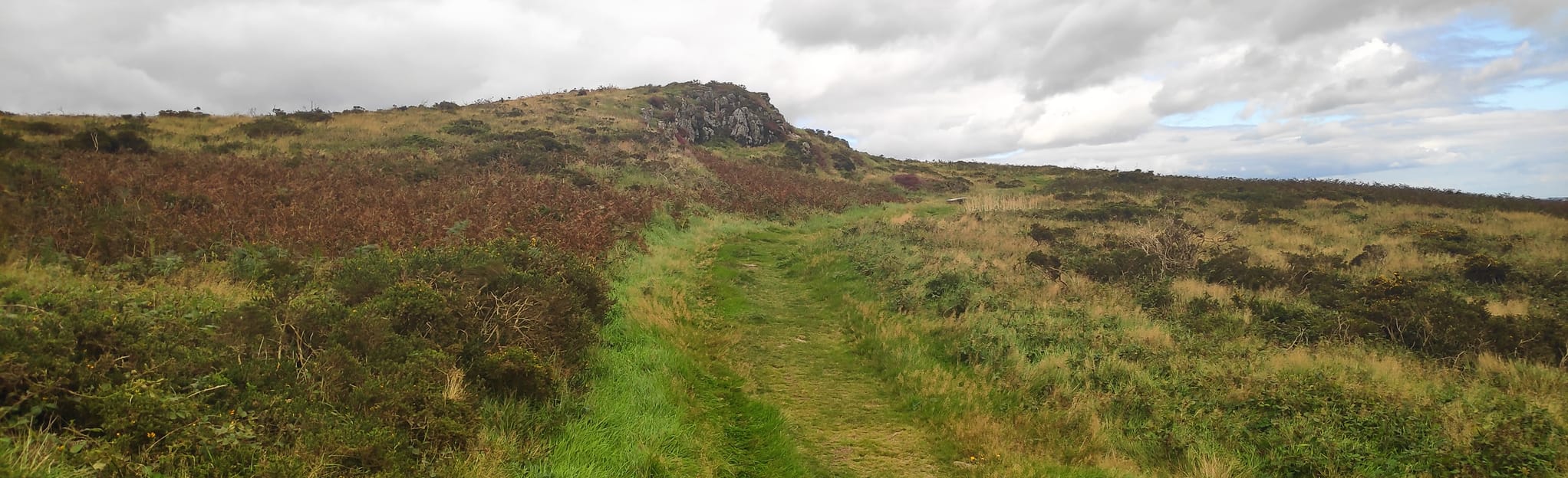 Slievecoiltia | Sliabh Coillte, County Wexford, Ireland - 14 Reviews ...