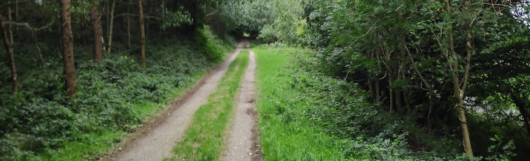 Lacken Hill and the 1798 Monument, County Wexford, Ireland - 46 Reviews ...