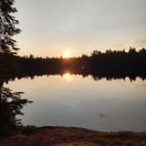 Angleworm Lake Trail, Minnesota - 108 Reviews, Map | AllTrails