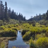 Angleworm Lake Trail, Minnesota - 108 Reviews, Map | AllTrails