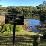 Berry Pond Trail, Massachusetts - 70 Reviews, Map | AllTrails