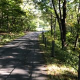 Berry Pond Trail, Massachusetts - 70 Reviews, Map | AllTrails