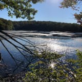 Berry Pond Trail, Massachusetts - 70 Reviews, Map | AllTrails