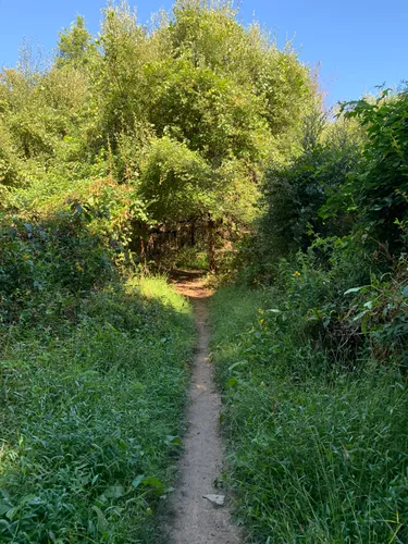 10 Best Trails and Hikes in Reston | AllTrails