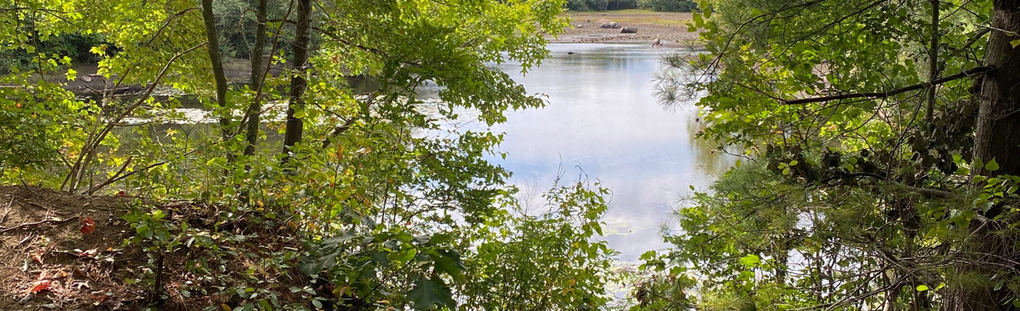 Thompson Pond Trail, Massachusetts - 54 Reviews, Map | AllTrails