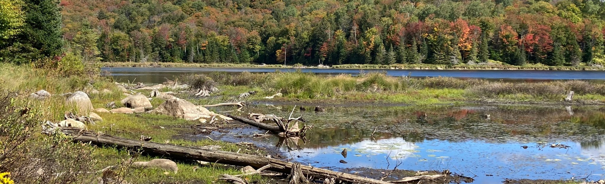 Mont du Loup-Garou Loop, Quebec, Canada - 863 Reviews, Map | AllTrails