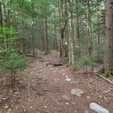 Plattekill Mountain Summit, New York - 47 Reviews, Map | AllTrails
