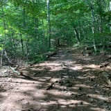 Plattekill Mountain Summit, New York - 47 Reviews, Map | AllTrails