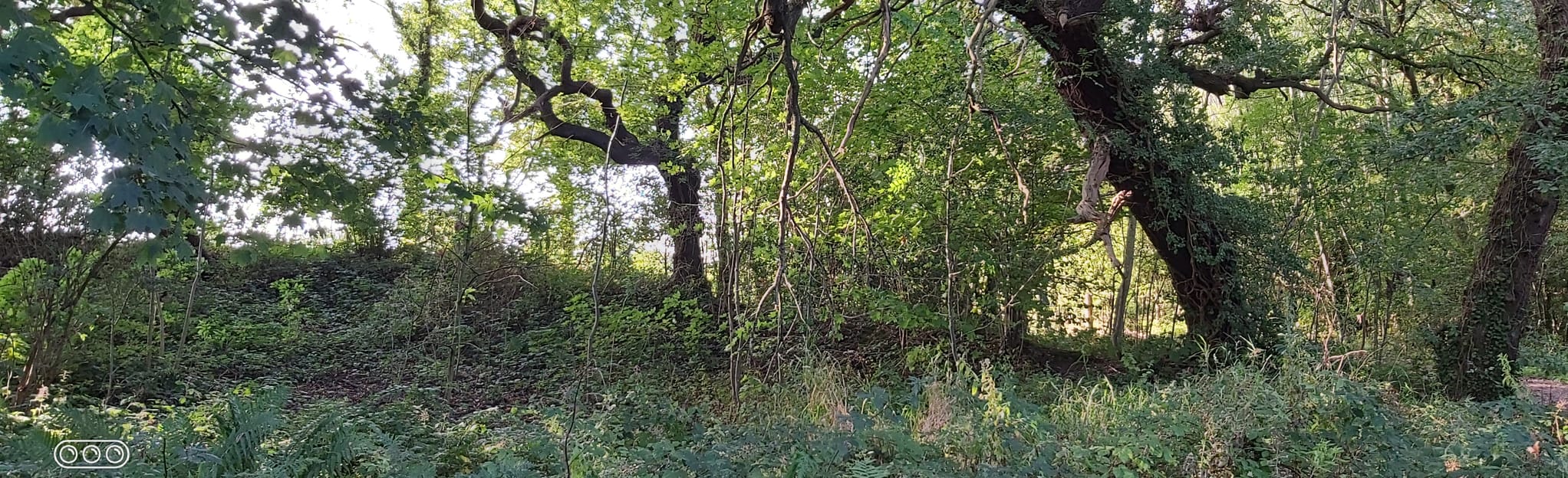 Brotherton Park and Dibbinsdale NR, Merseyside, England - 57 Reviews ...