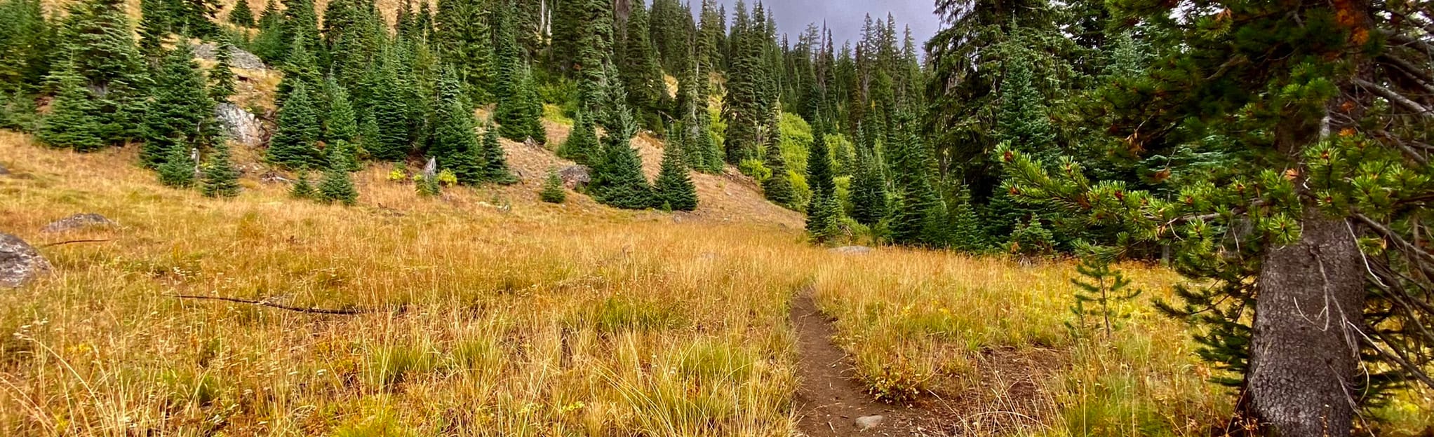 Esmeralda Basin Loop Trail: 47 Reviews, Map - Washington | AllTrails
