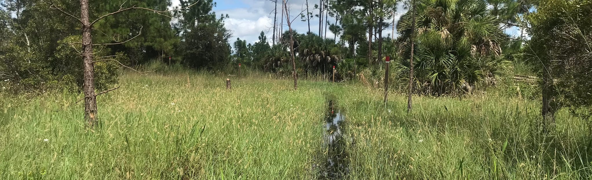 CREW Flint Pen Red Trail: 192 Reviews, Map - Florida | AllTrails