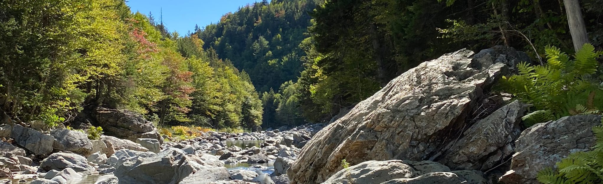 The Forks Trail - Upper Salmon River Trail - Black Hole Trail, New ...