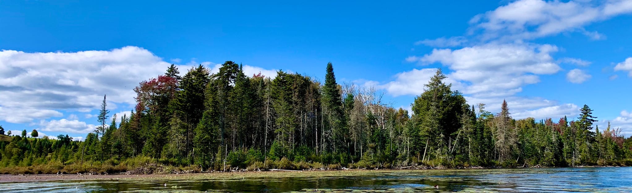 May Pond Paddle, Vermont - 3 Reviews, Map | AllTrails