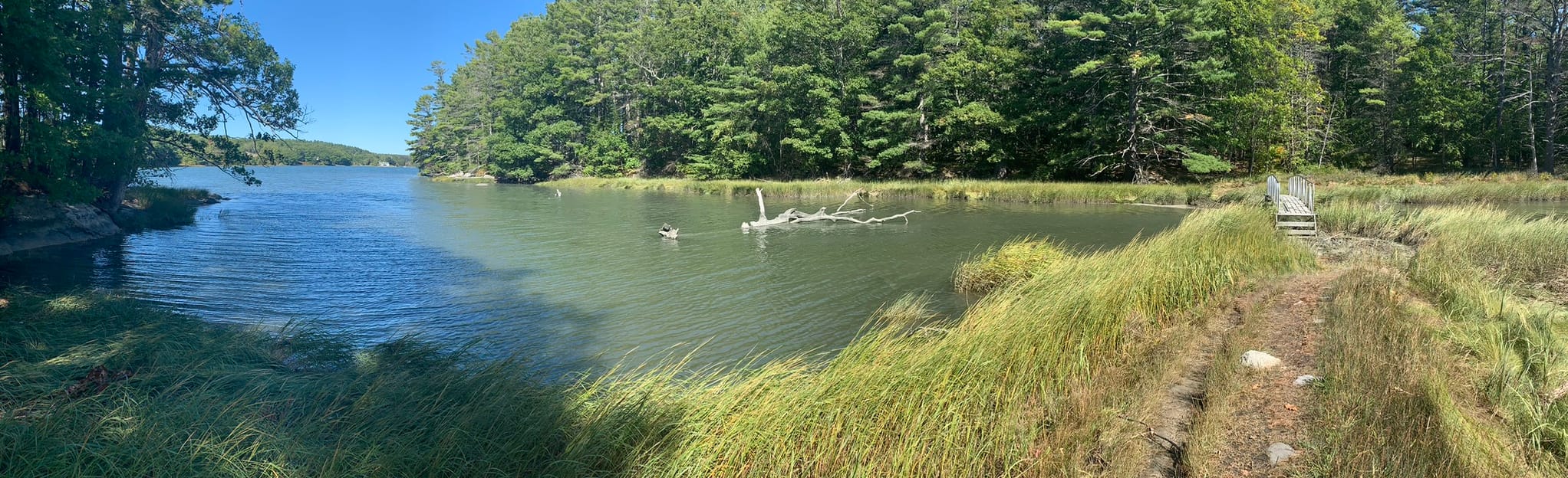 Salt Bay Heritage Trail | Map, Guide - Maine | AllTrails