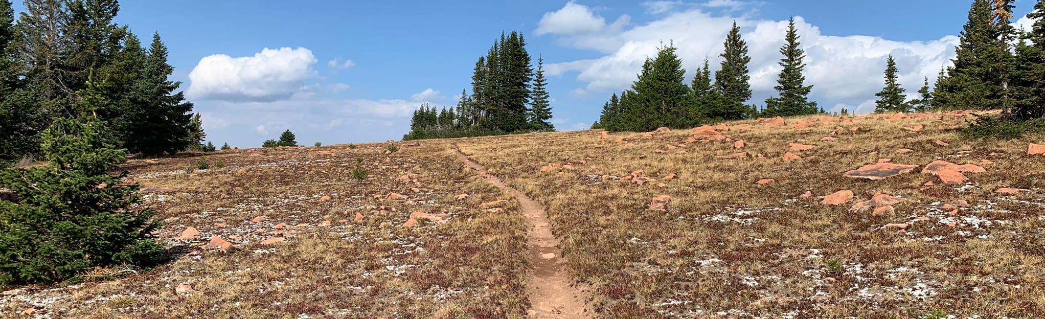 Mount Thomas Summit Trail, Colorado - 26 Reviews, Map | AllTrails