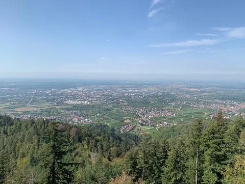 10 Best Trails, Walks, and Paths in Offenburg | AllTrails