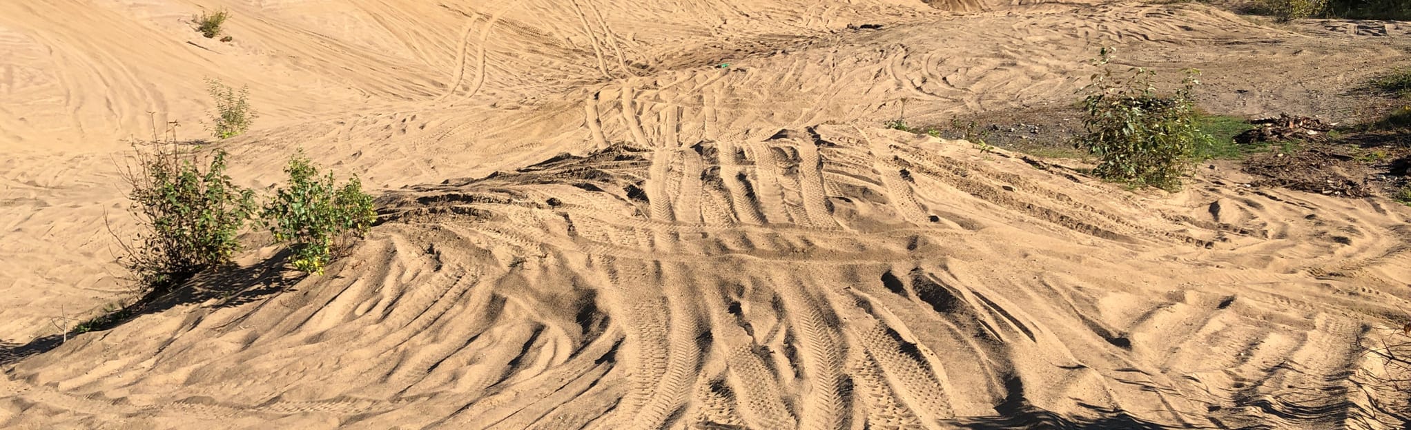 Turtle Trail, Quebec, Canada - 5 Reviews, Map | AllTrails