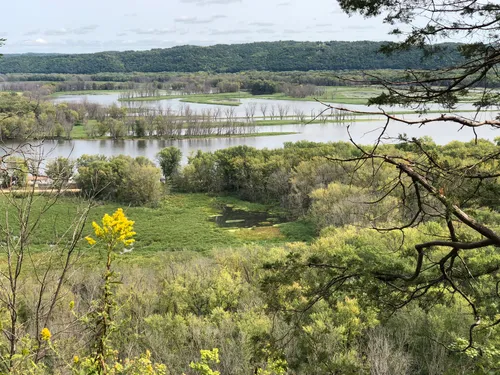 Best 10 Hiking Trails in Yellow River State Forest | AllTrails