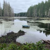 Tahuya River, Connector, and Mission Creek Trails Loop, Washington - 30 ...