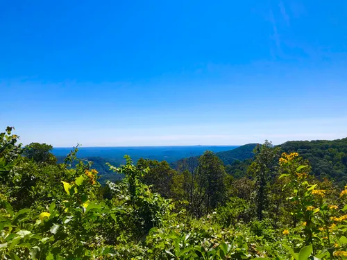 Best Hikes and Trails in Smart View Recreation Area | AllTrails