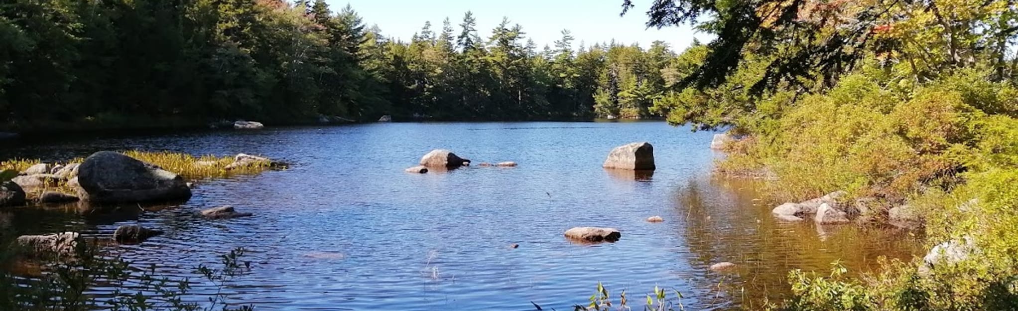 Big Mud Lake Loop: 3 Reviews, Map - Nova Scotia, Canada | AllTrails