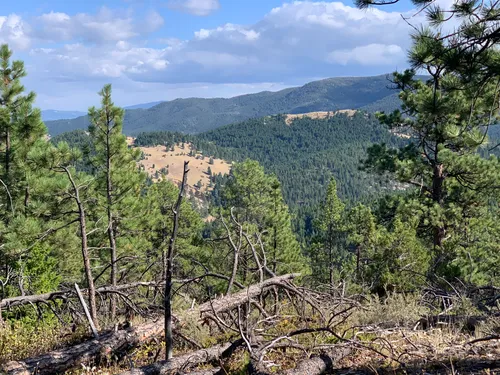 10 Best Hikes and Trails in Mount Helena City Park | AllTrails