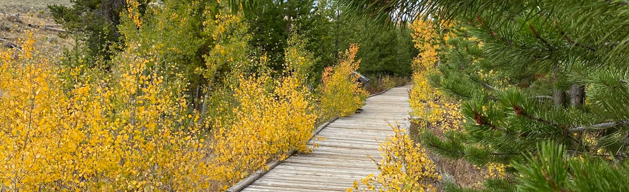 Forces of the Northern Range Trail, Montana - 77 Reviews, Map | AllTrails